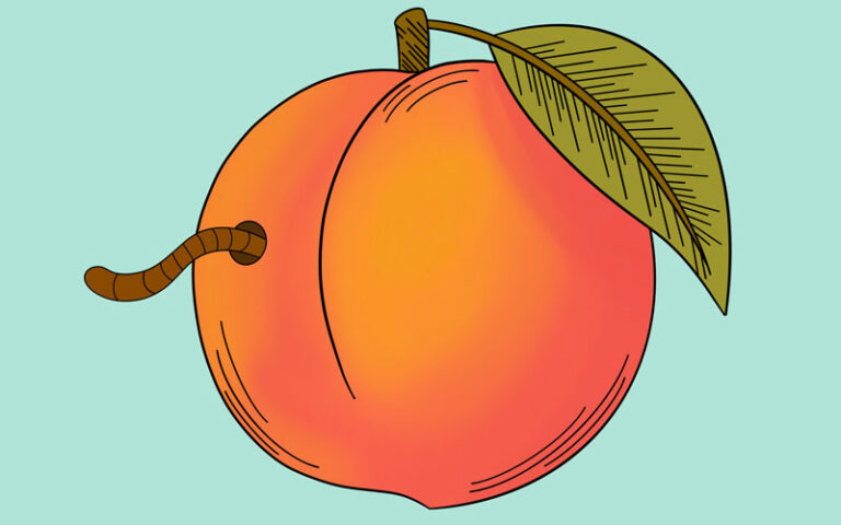 Berlinsky_Agatha_AI_01 | The Smart Set